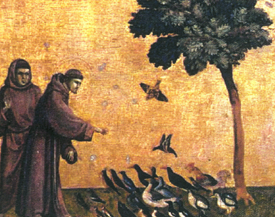 Animal Welfare Sunday — Anglican Society for the Welfare of Animals